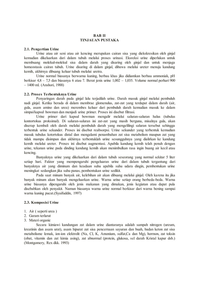 Laporan Praktikum Biologi "UJI KANDUNGAN URIN" | DOCX