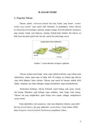 Laporan Praktikum Biologi Trikomata | DOCX