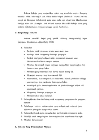 Laporan Praktikum Biologi Trikomata | DOCX