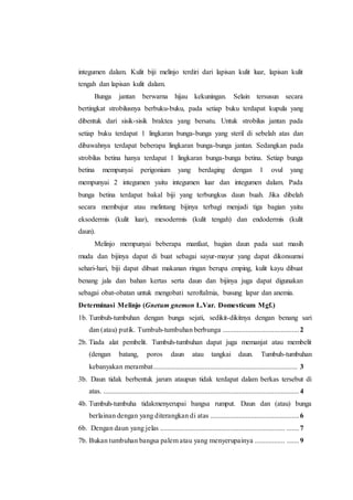 Laporan praktikum botani tumbuhan tinggi 1 divisio pinophyta | DOCX