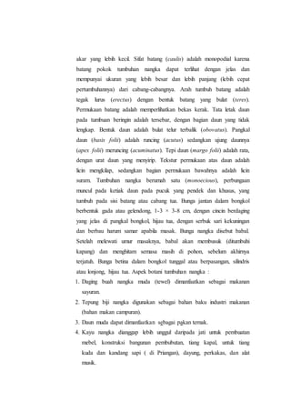 Laporan praktikum botani tumbuhan tinggi 3 sub classis hamamelidae dan ...