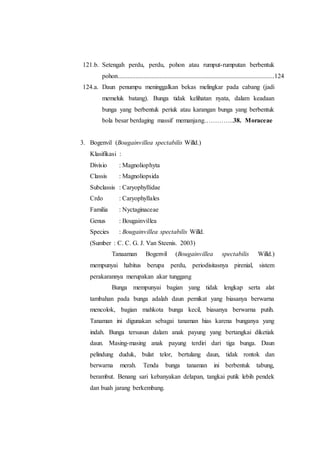 Laporan praktikum botani tumbuhan tinggi 3 sub classis hamamelidae dan ...