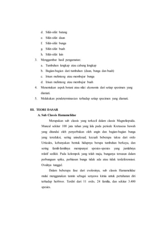 Laporan praktikum botani tumbuhan tinggi 3 sub classis hamamelidae dan ...