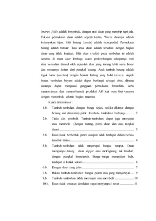 Laporan praktikum botani tumbuhan tinggi 3 sub classis hamamelidae dan ...