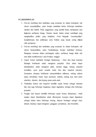 Laporan praktikum botani tumbuhan tinggi 3 sub classis hamamelidae dan ...