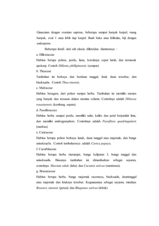 Laporan praktikum botani tumbuhan tinggi 4 sub classis dilleniidae | DOCX