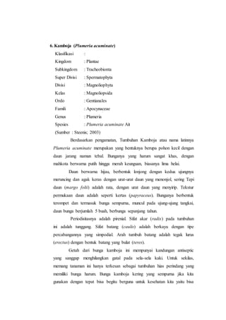 Laporan praktikum botani tumbuhan tinggi 6 sub classis asteriidae | DOCX