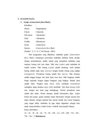 Laporan praktikum botani tumbuhan tinggi 7 sub classis alismatidae ...