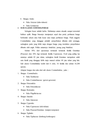 Laporan praktikum botani tumbuhan tinggi 7 sub classis alismatidae ...