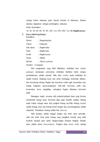 Laporan praktikum botani tumbuhan tinggi 8 sub classis zingiberidae dan liliidae | PDF