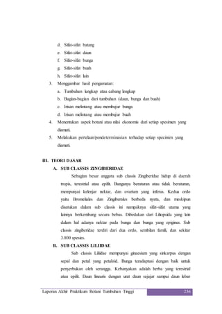 Laporan praktikum botani tumbuhan tinggi 8 sub classis zingiberidae dan liliidae | PDF