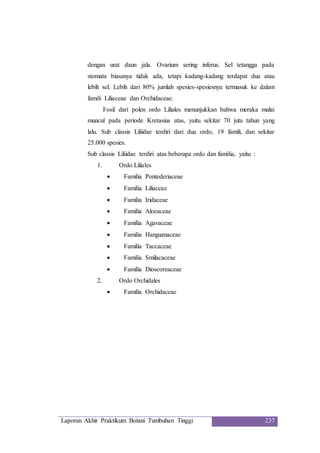 Laporan praktikum botani tumbuhan tinggi 8 sub classis zingiberidae dan liliidae | PDF