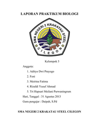 Laporan Praktikum Difusi Osmosis Plasmolisis | DOCX