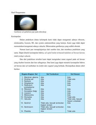 Laporan Praktikum Difusi Osmosis Plasmolisis | DOCX