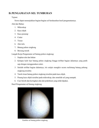 Laporan Praktikum Difusi Osmosis Plasmolisis | DOCX