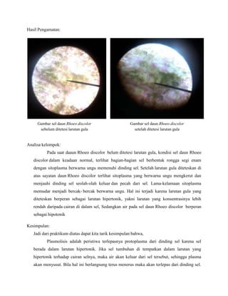 Laporan Praktikum Difusi Osmosis Plasmolisis | DOCX