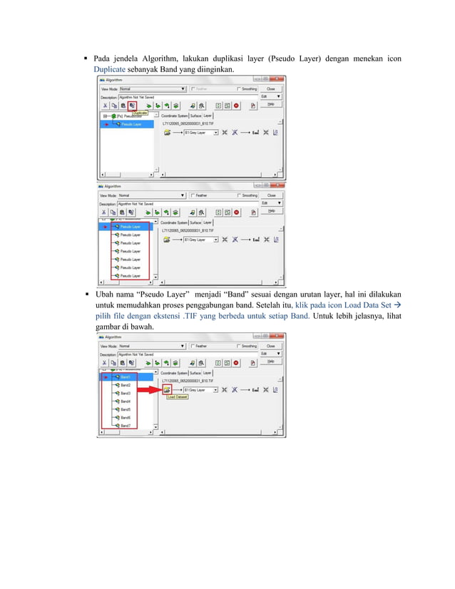 Laporan Praktikum ER Mapper Koreksi Geometrik dan Radiometrik | PDF