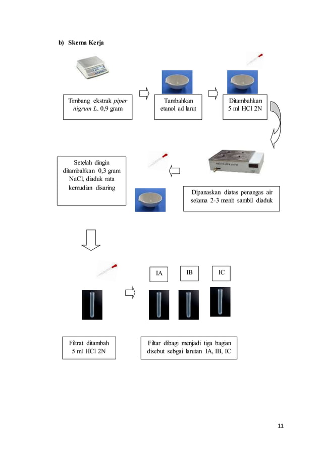 Laporan praktikum fitokimia identifikasi senyawa golongan alkaloida (ekstrak Piper nigrum) | DOCX
