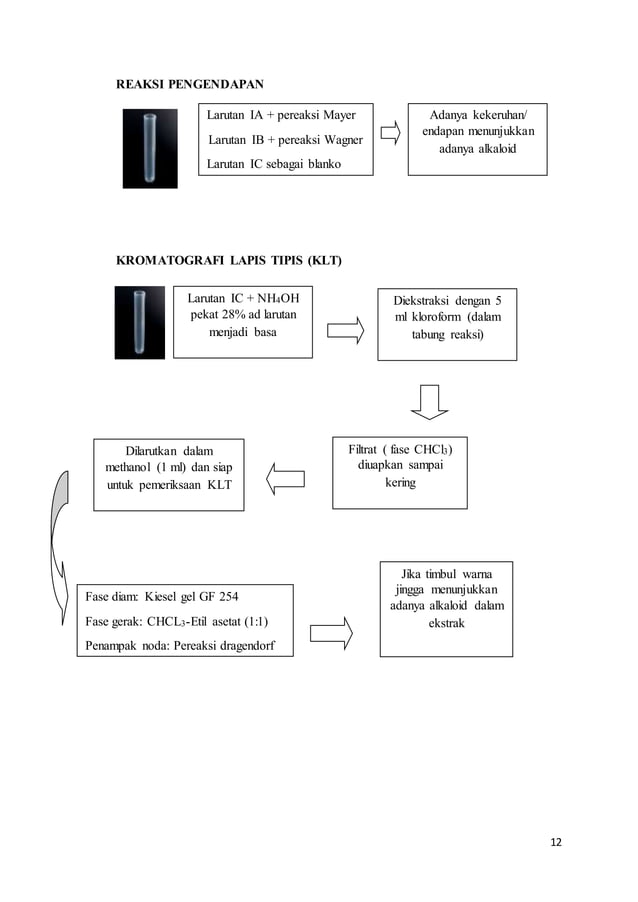 Laporan praktikum fitokimia identifikasi senyawa golongan alkaloida (ekstrak Piper nigrum) | DOCX