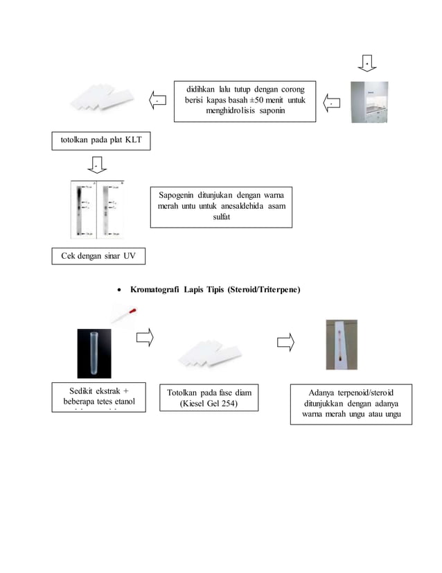 Laporan praktikum fitokimia identifikasi senyawa golongan glikosida saponin, triterpenoid, dan ...