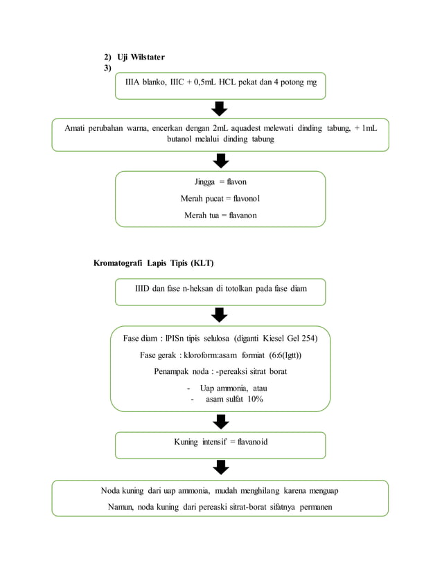 Laporan praktikum fitokimia identifikasi senyawa golongan flavonoida (Ekstrak Psidium guajava ...