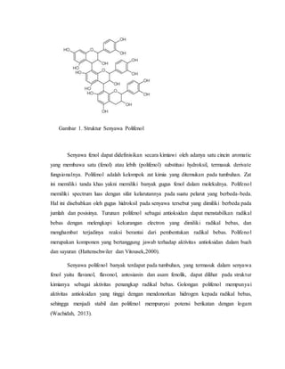 Laporan praktikum fitokimia identifikasi senyawa golongan polifenol dan ...