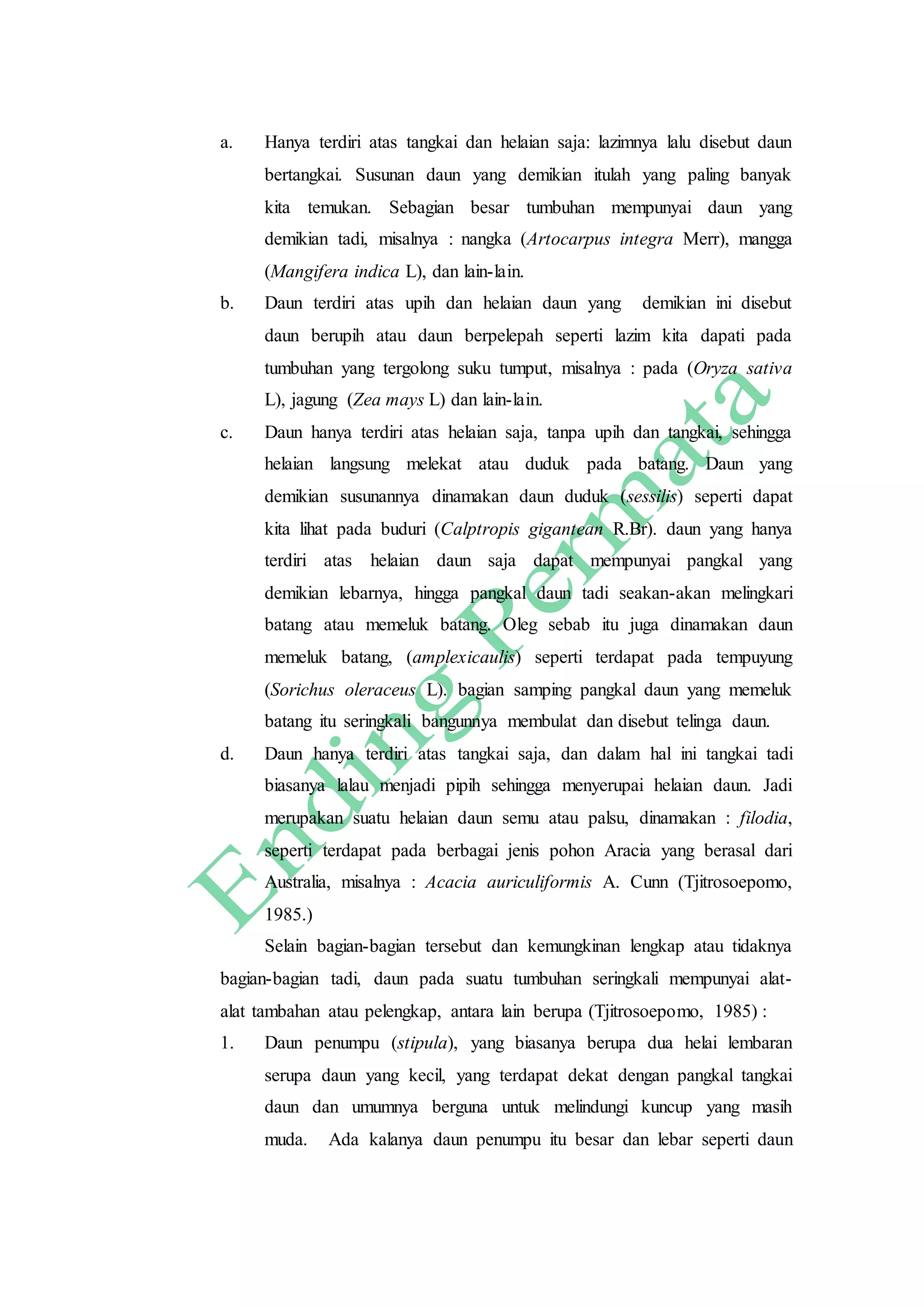 Laporan Praktikum I Daun (Folium) | DOCX