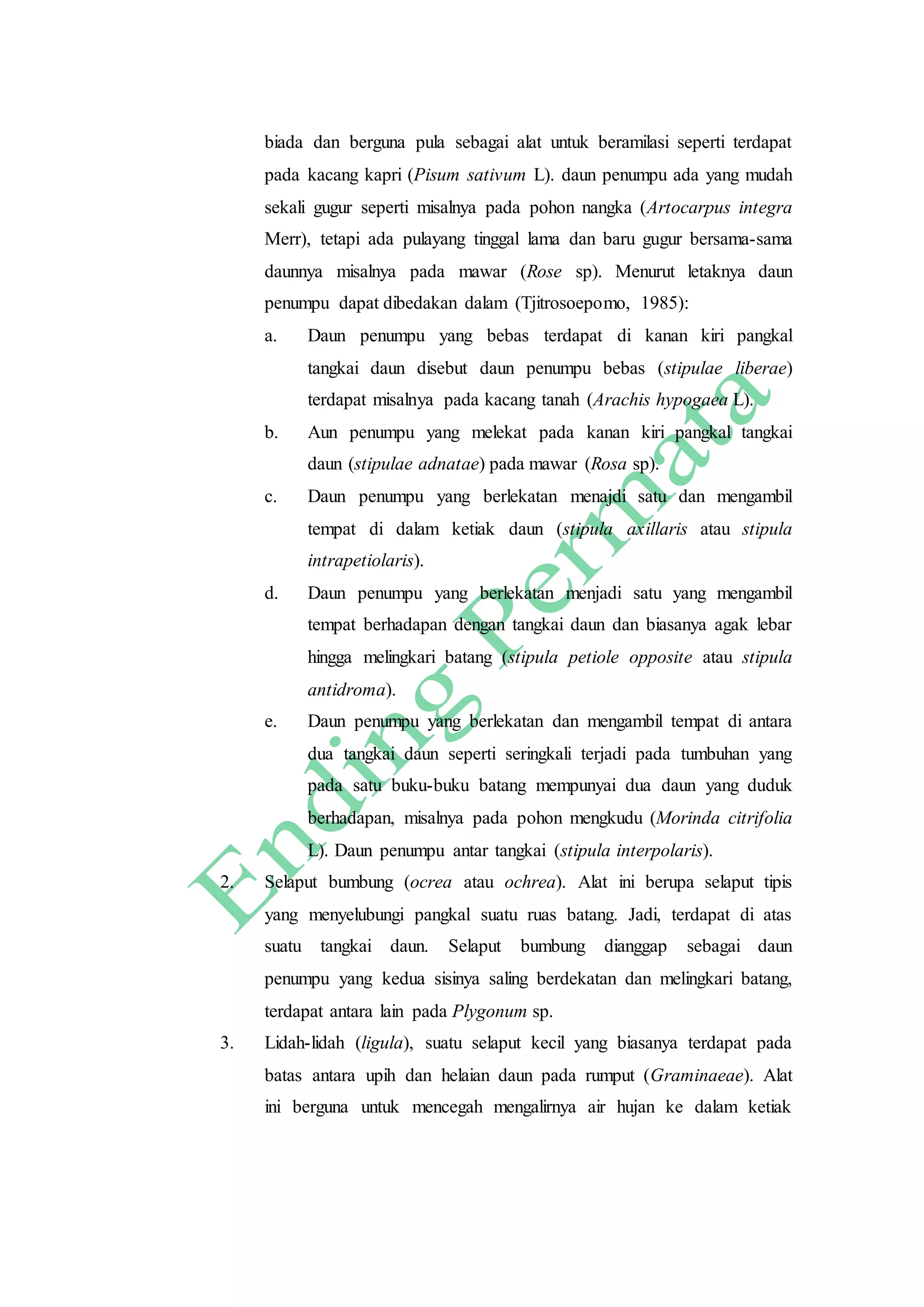 Laporan Praktikum I Daun (Folium) | DOCX