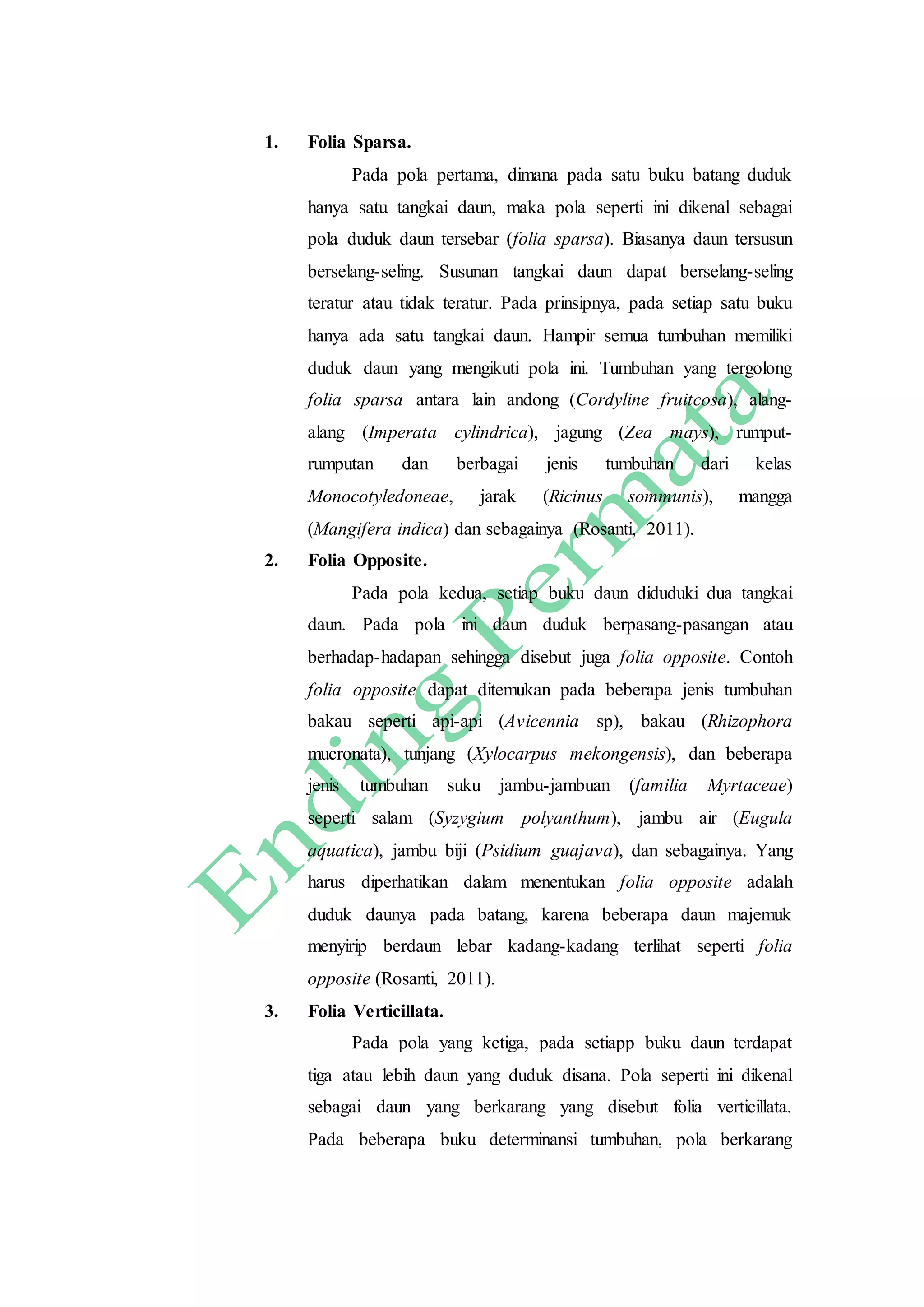 Laporan Praktikum I Daun (Folium) | DOCX