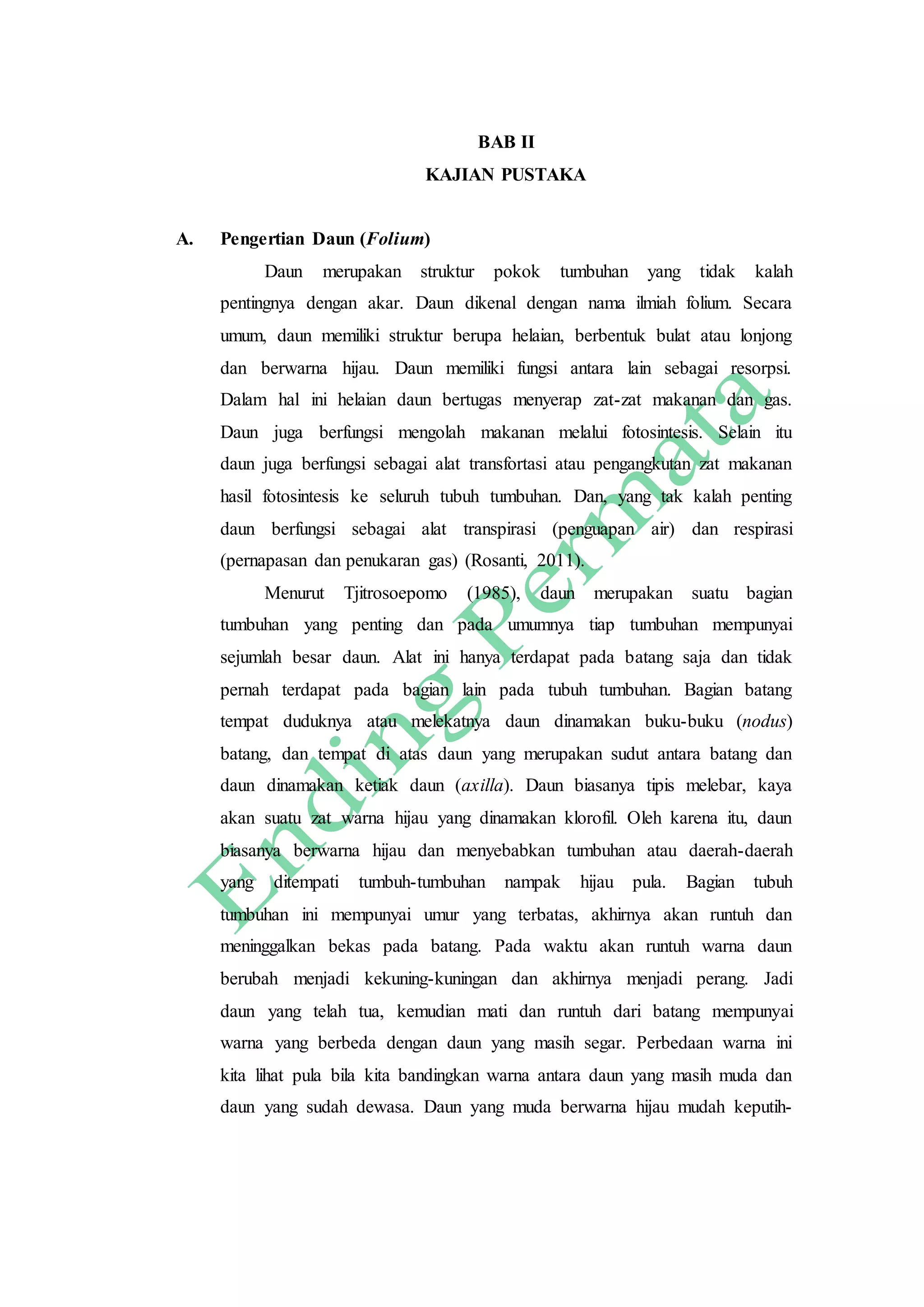Laporan Praktikum I Daun (Folium) | DOCX