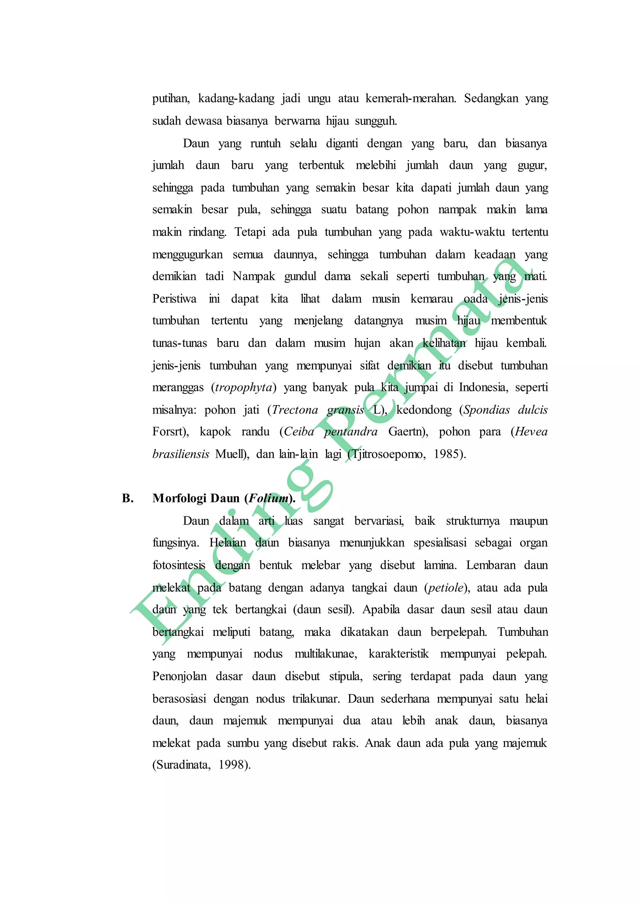 Laporan Praktikum I Daun (Folium) | DOCX