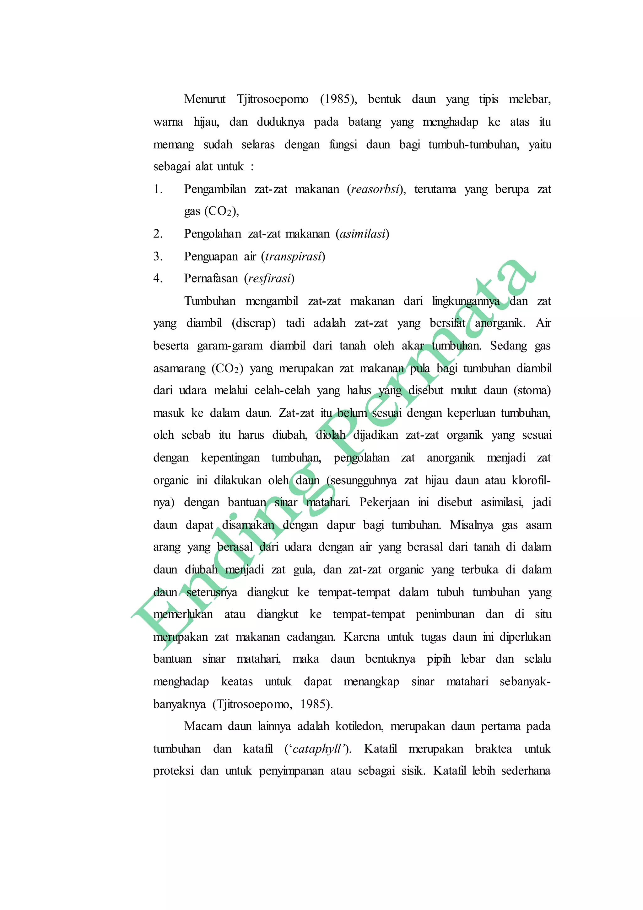 Laporan Praktikum I Daun (Folium) | DOCX