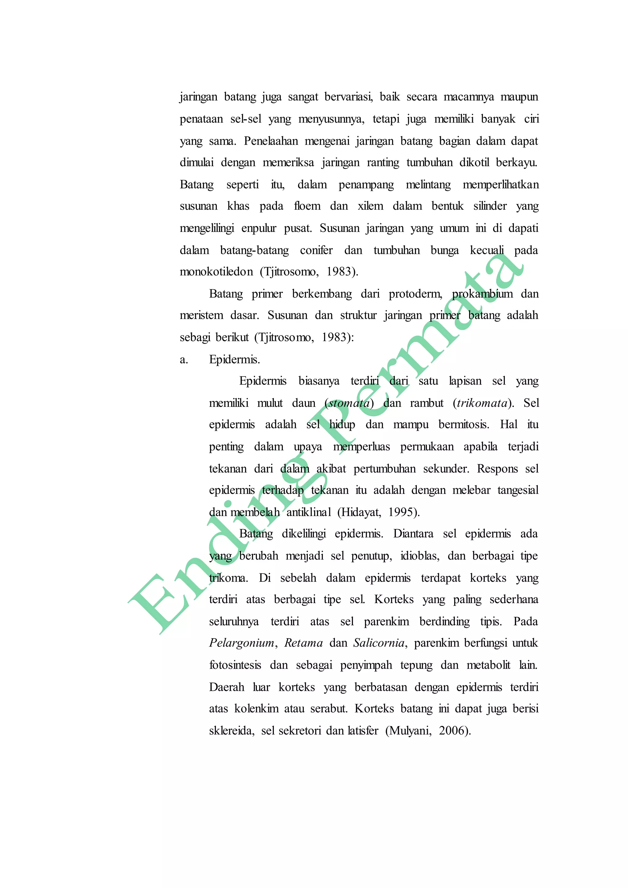 Laporan Praktikum II Batang (Caulis) | DOCX