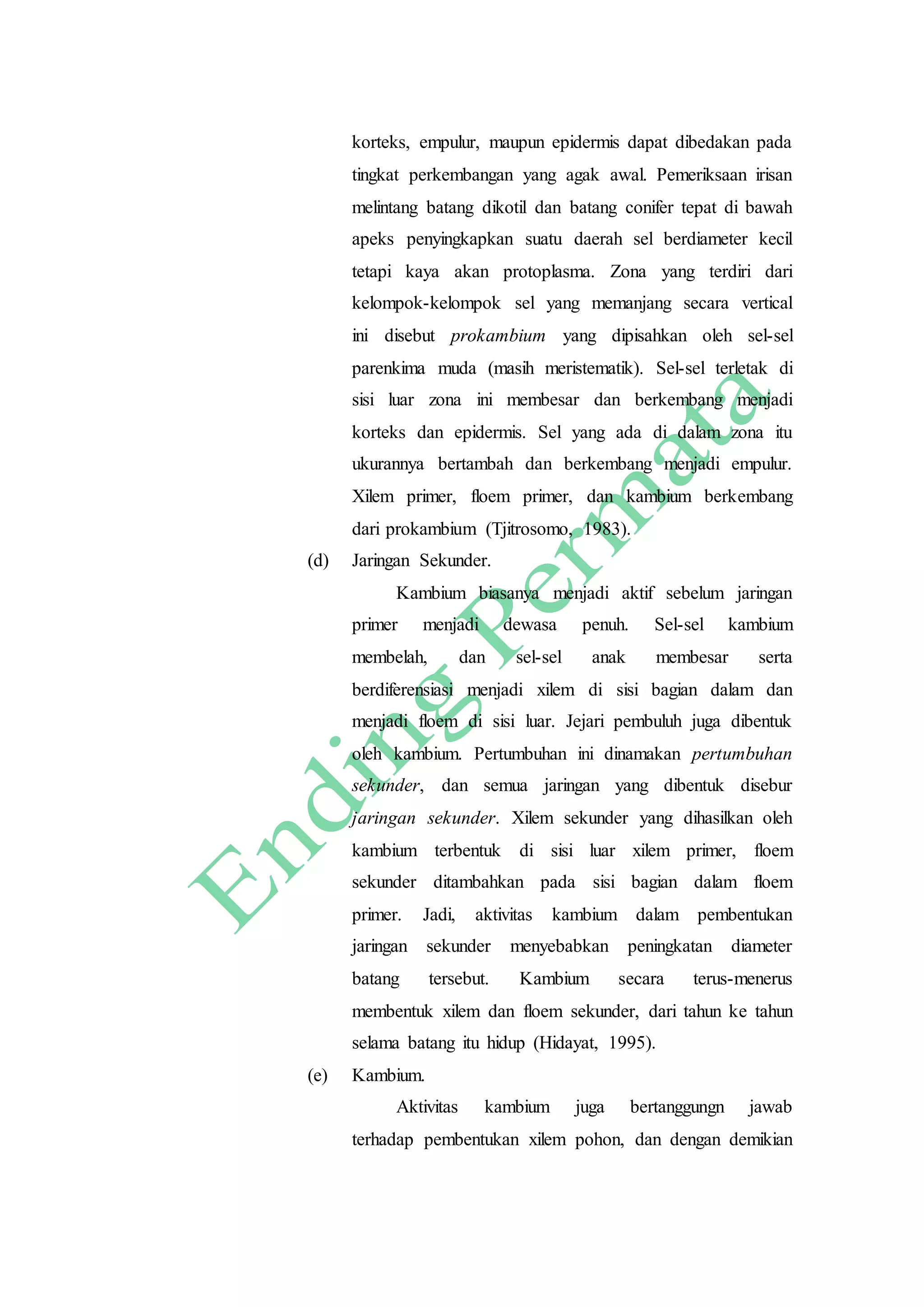 Laporan Praktikum II Batang (Caulis) | DOCX