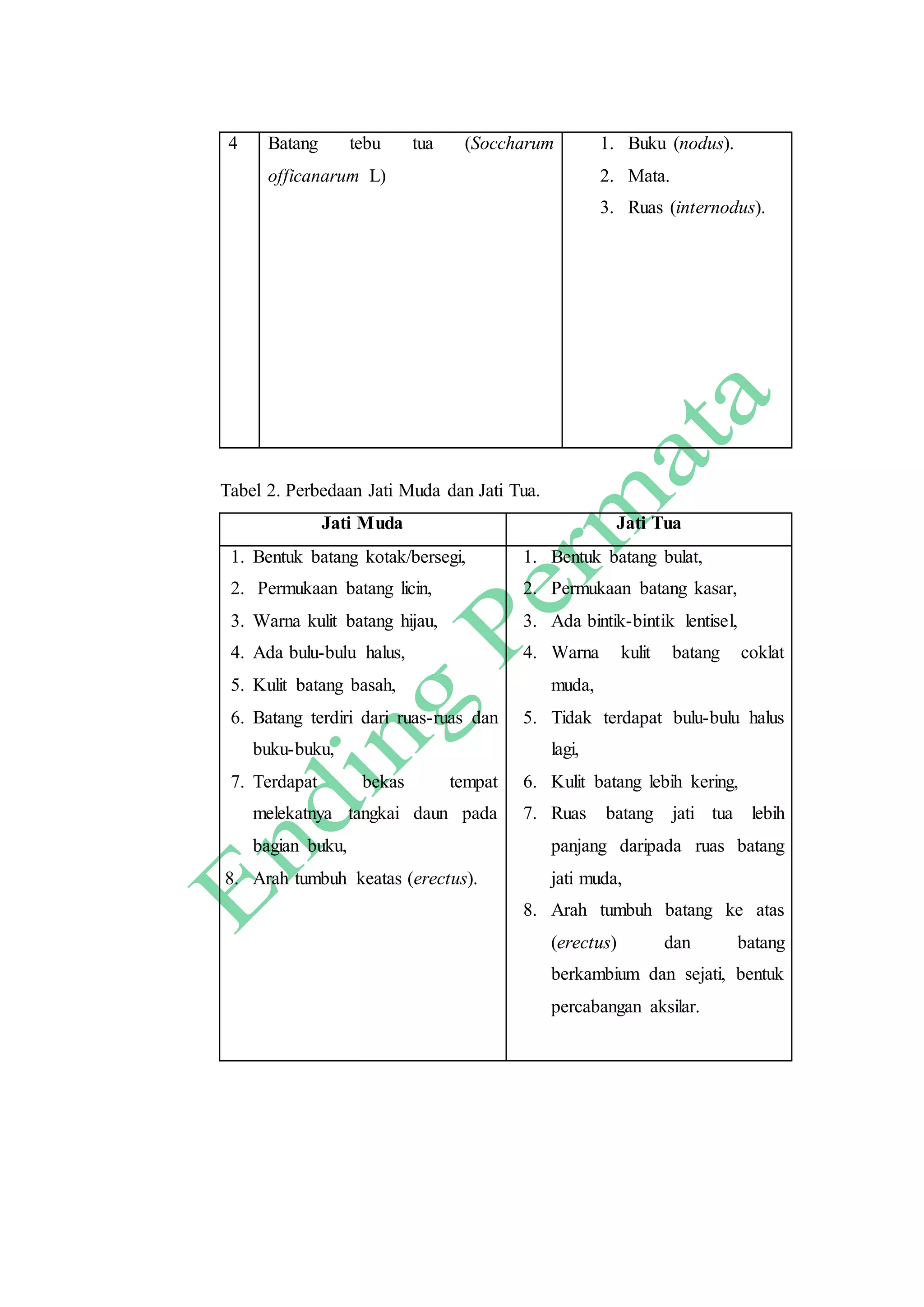 Laporan Praktikum II Batang (Caulis) | DOCX