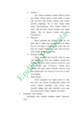 Laporan Praktikum II Batang (Caulis) | DOCX