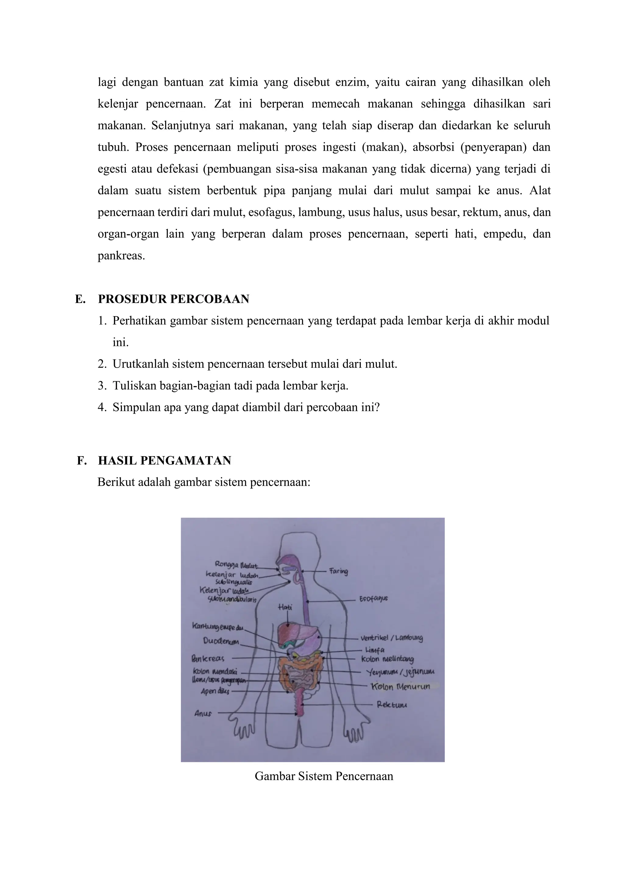 Laporan Praktikum IPA Pencernaan Makanan.pdf