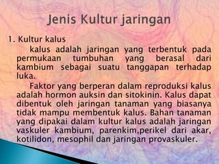 Laporan PKL Kultur Jaringan di UIN SUKA | PPTX