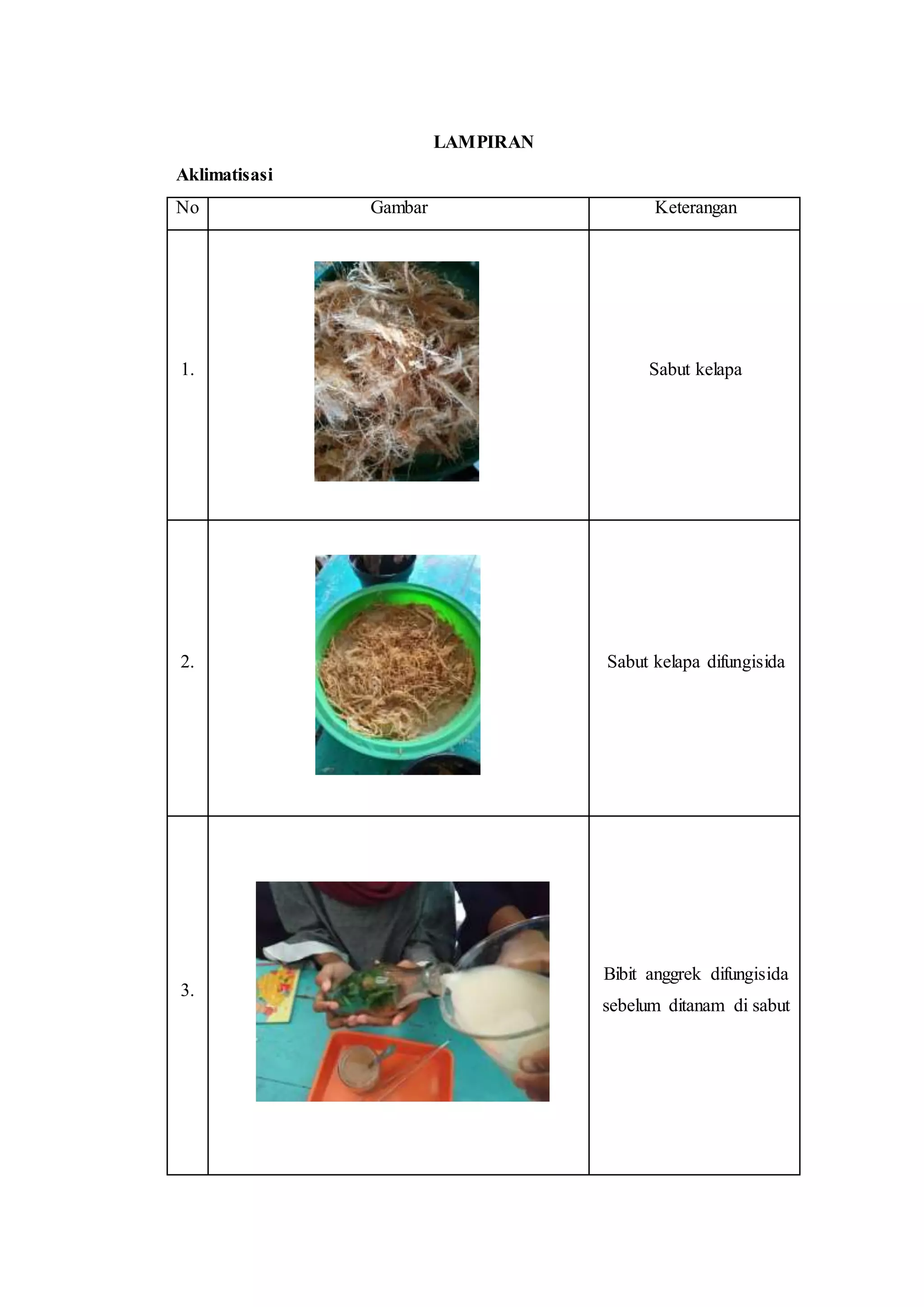 Laporan Praktikum Kultur Jaringan Tumbuhan: Aklimatisasi Anggrek ...