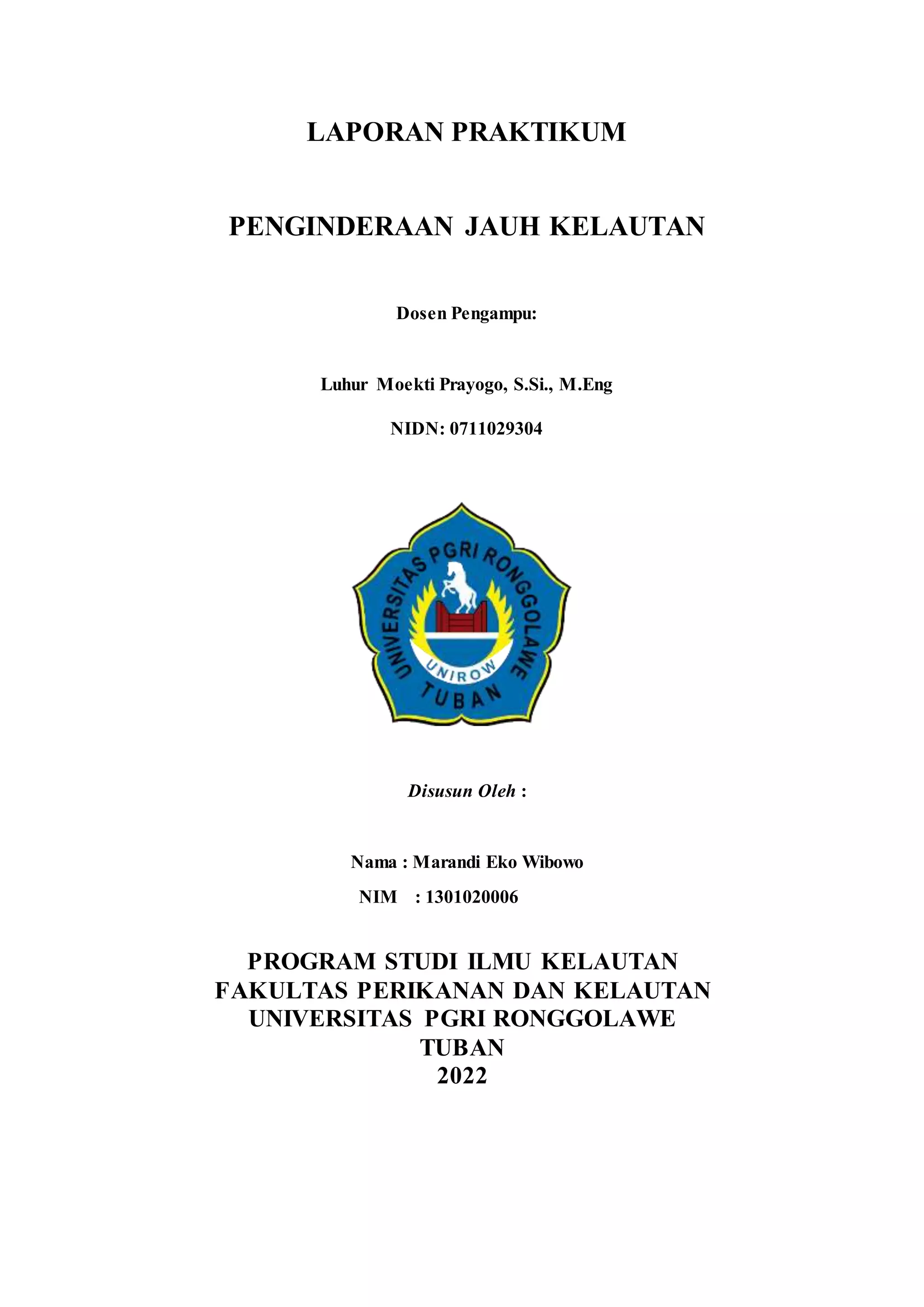 Laporan Praktikum Penginderaan Jauh - Dasar Pengolahan Citra Digital ...