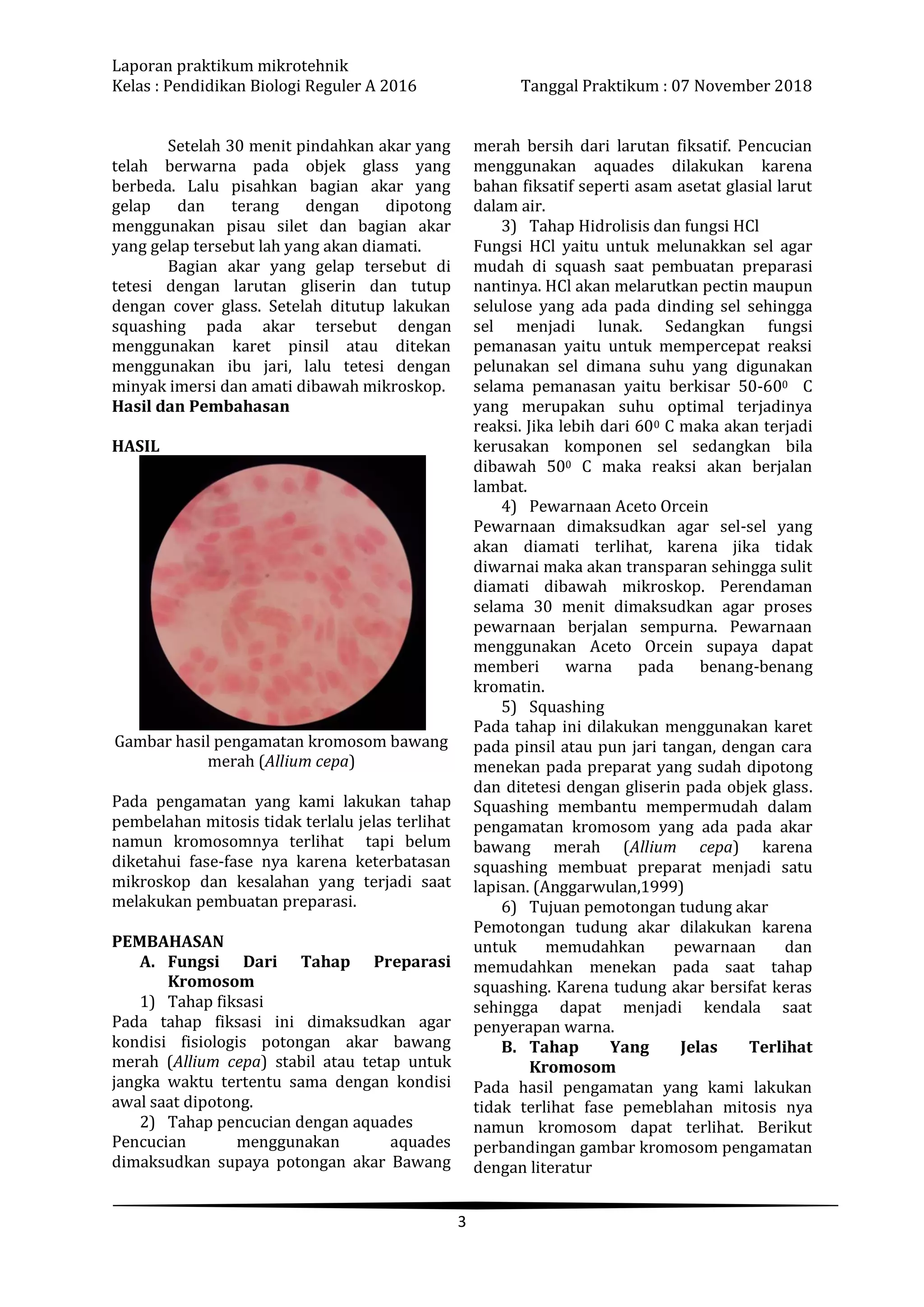 Laporan praktikum mikrotehnik ade layyinah indriyani | PDF