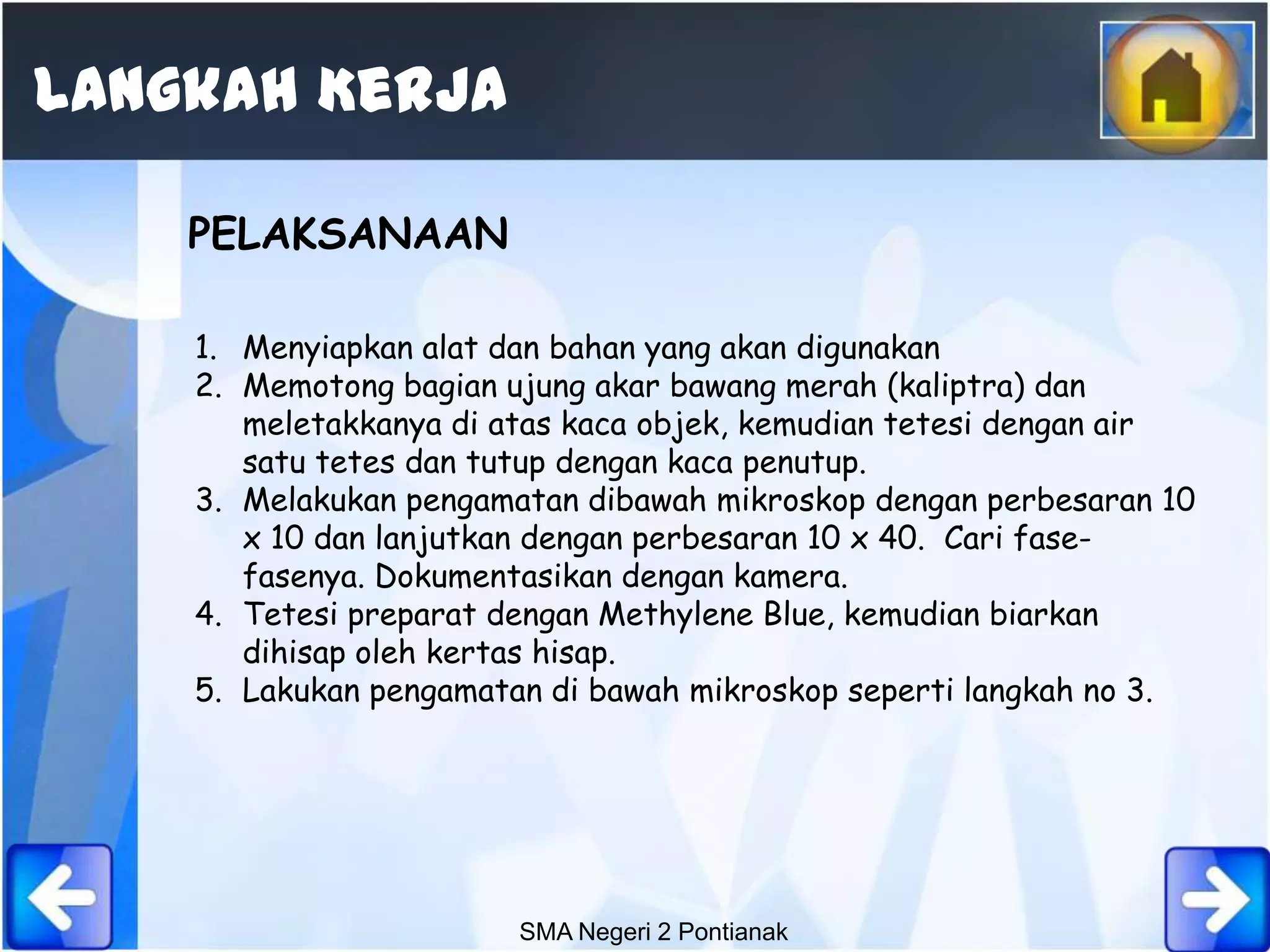 Laporan praktikum pembelahan mitosis | PPTX