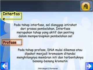 Laporan praktikum pembelahan mitosis | PPTX