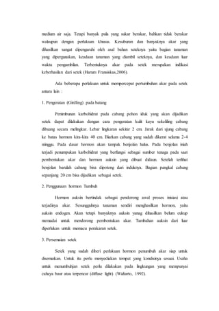 Laporan praktikum pembiakan vegetatif | DOCX