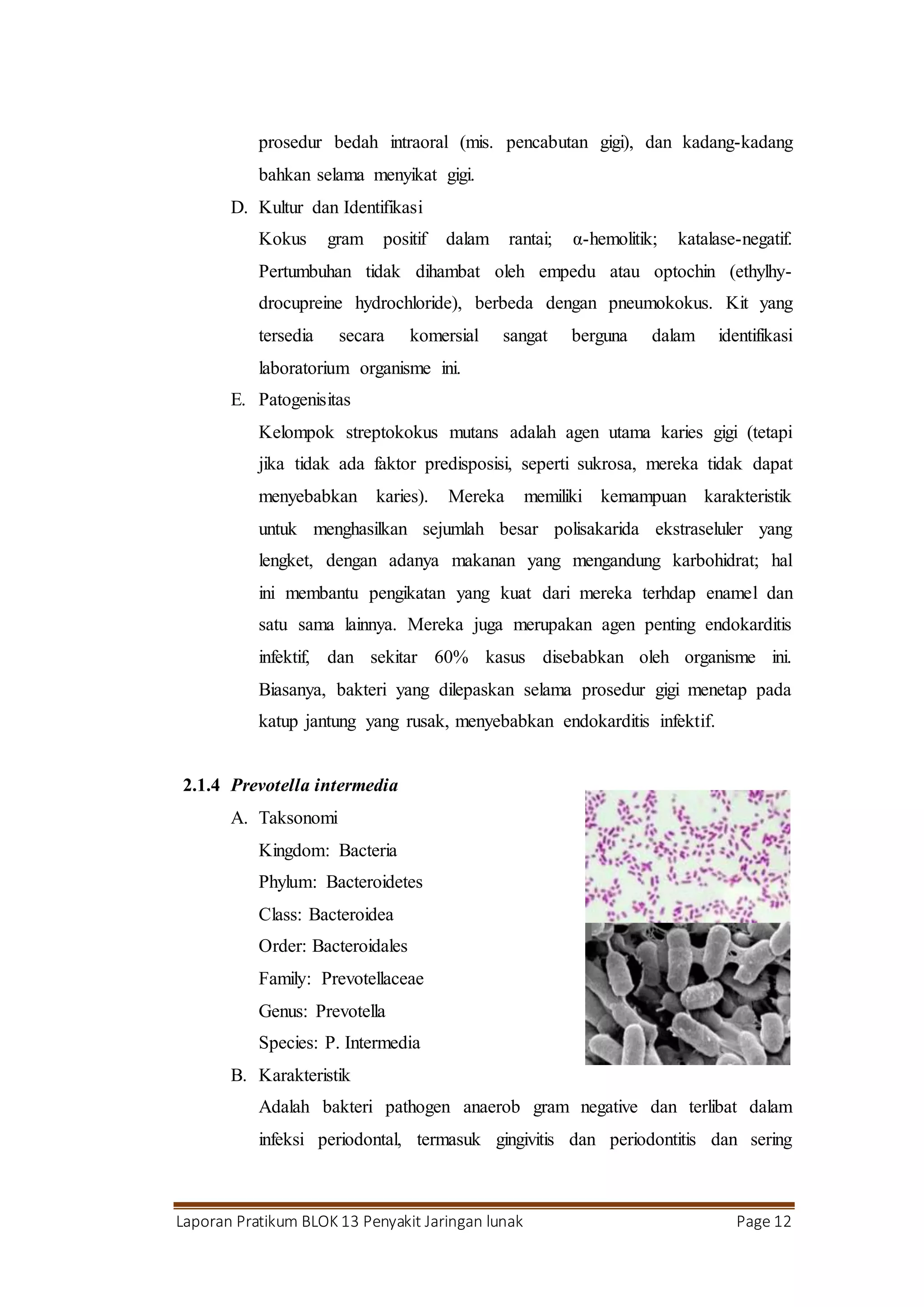 Laporan Praktikum Pemeriksaan Penunjang Laboratorium Untuk Menegakkan ...