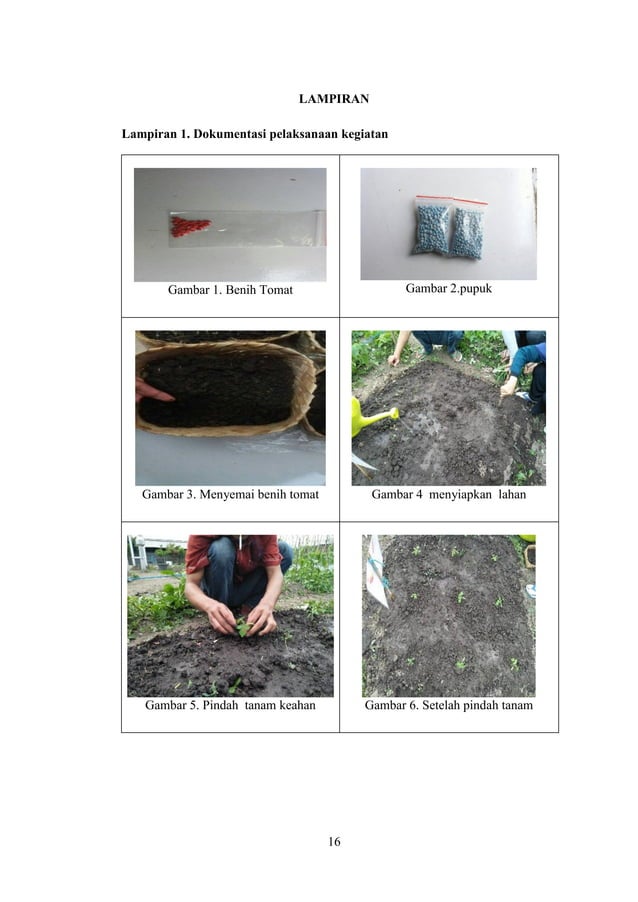 Laporan praktikum produksi benih | PDF