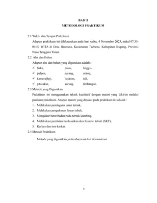 laporan praktikum ternak potong mey. pdf | PDF