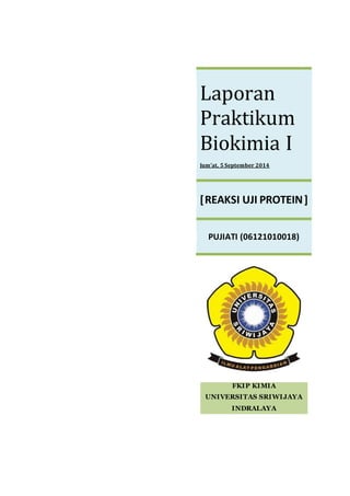 Laporan praktikum uji protein (dg uji biuret) | PDF