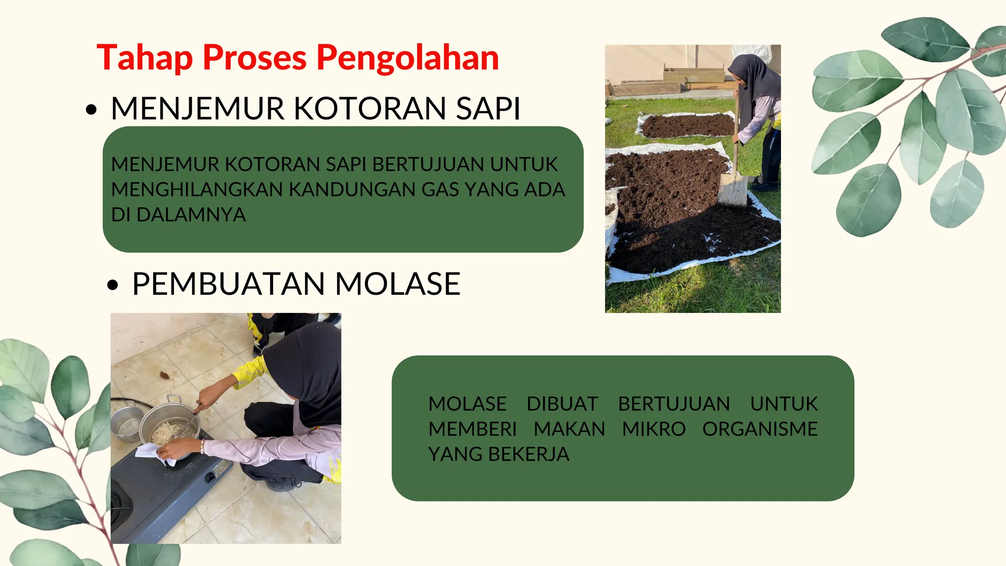 kompos padat kotoran sapi (pupuk kandang) | PDF