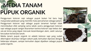 kompos padat kotoran sapi (pupuk kandang) | PDF